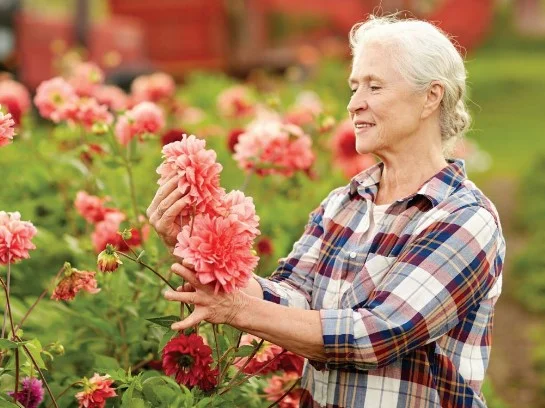 The Importance of Brain Health for Older Adults & Seniors